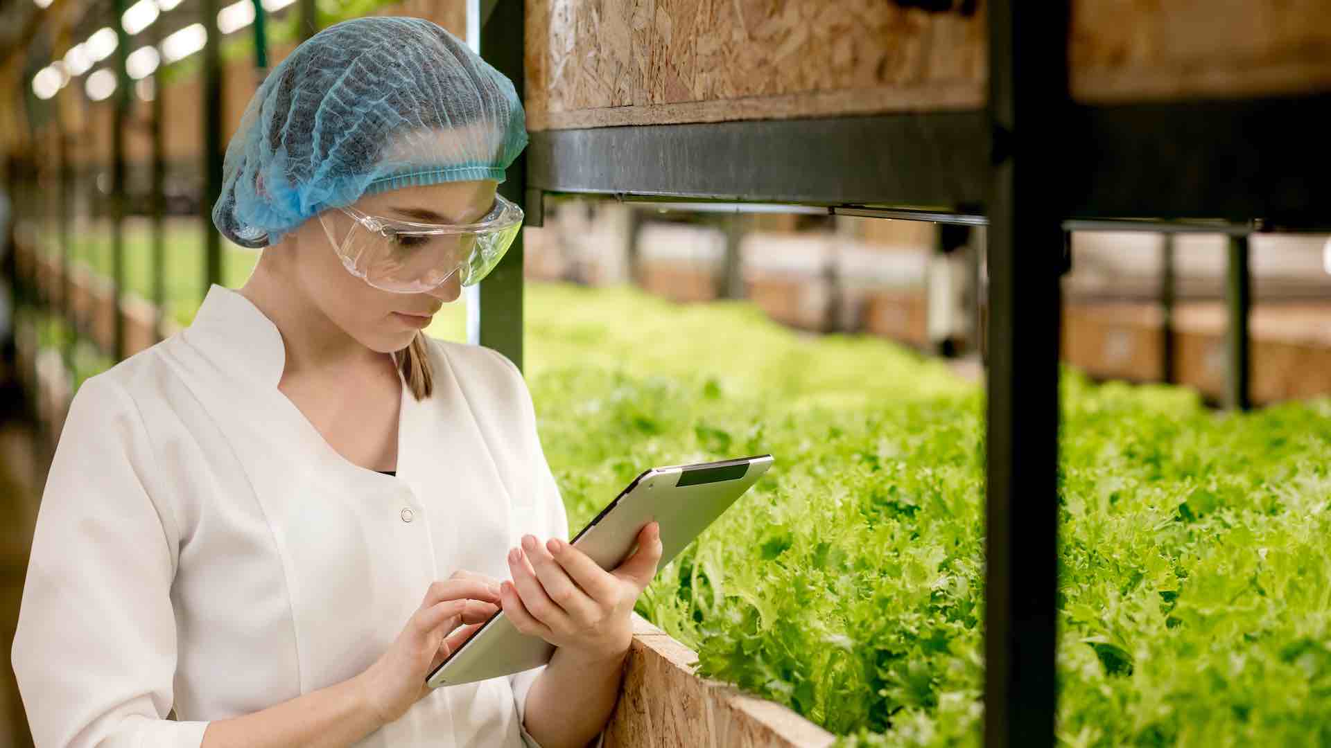 Food security depends on women’s role in agrifood - rabatreview.com